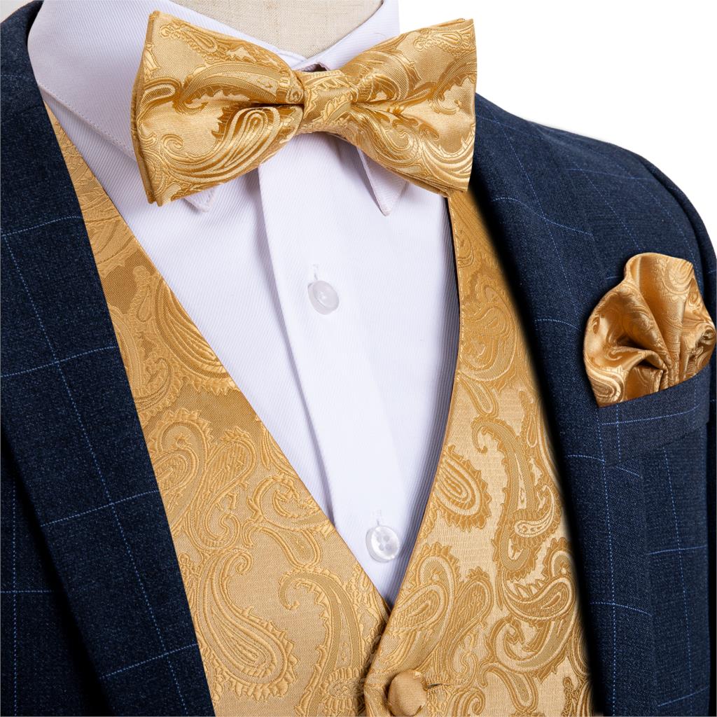 Paisley Woven Tie Ties For Men DQT Men's Paisley Bohemian Wedding ...